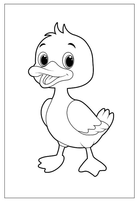 Desenhos De Pato Para Colorir E Pintar Tudo Para Colorir