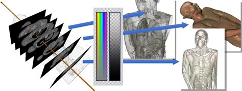generalized direct volume rendering dvr principle the color values download scientific