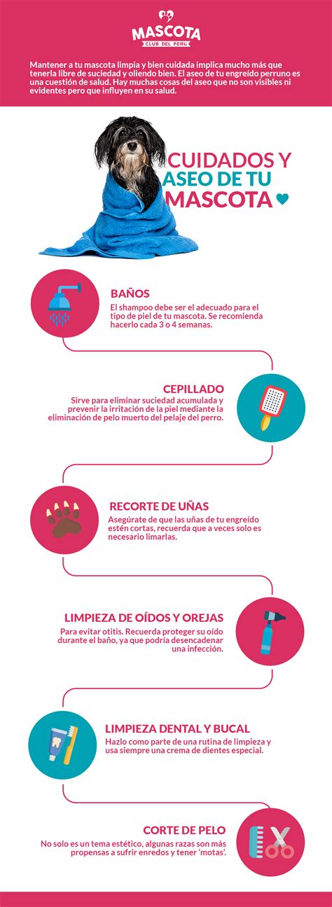 Cuidados y aseo de tu mascota Mascota Club del Perú