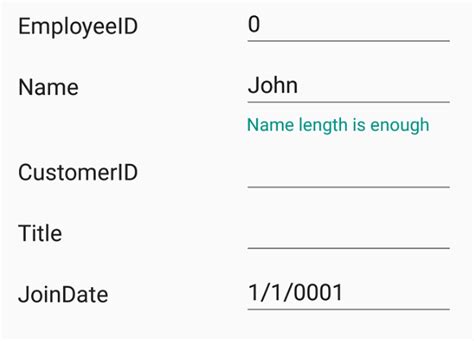 How To Implement Xamarin Forms Validation Syncfusion Blogs