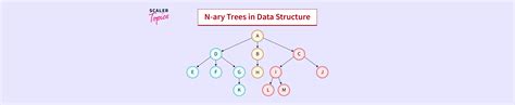 N Ary Trees In Data Structures Scaler Topics