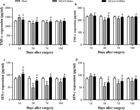 Ischemic Stroke Induced Changes In The Expression Of Lps Induced