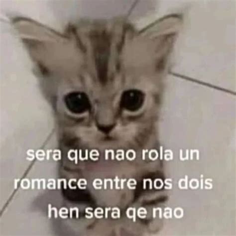 Mimi On Twitter RT Memeparaoarroba