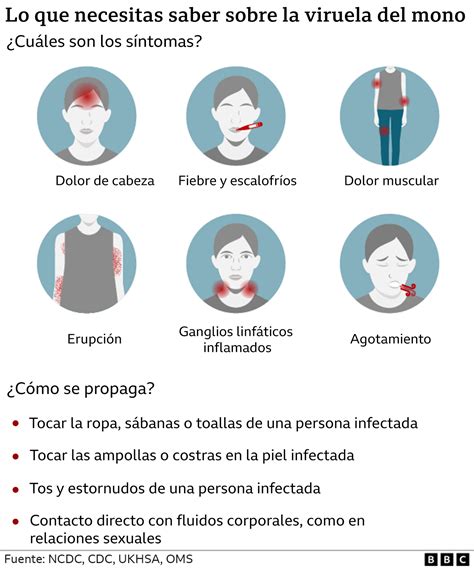 Viruela Del Mono C Mo Se Transmite Cu Les Son Los S Ntomas Y Qu
