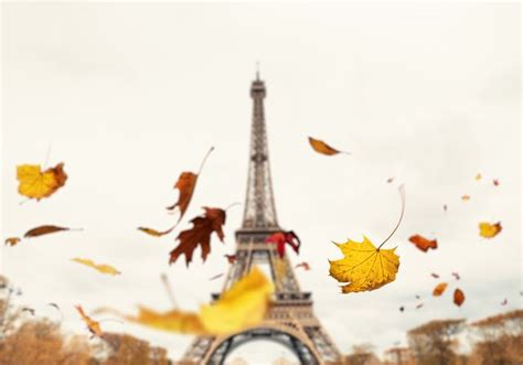 Que faire à Paris le week end du 30 novembre 1er et 2 décembre Elle