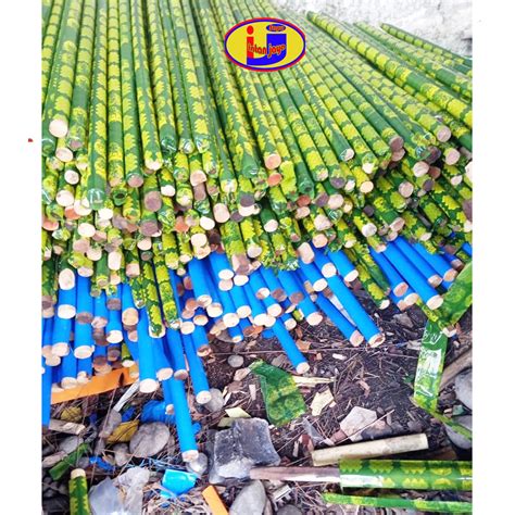 Jual Gagang Sapu Lantai Dan Sapu Lidi Taman Indonesia Shopee Indonesia