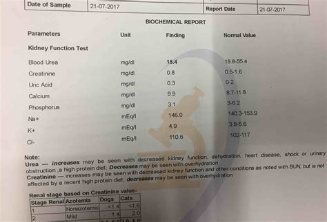 Today I Had Blood Test Of Him CBC Liver Function Test And Kidney