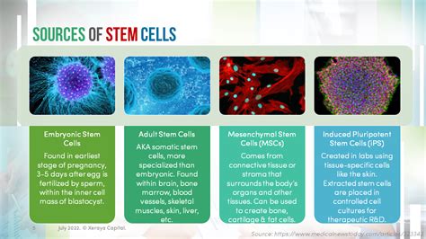 Slides Stem Cell Therapy Xeraya Capital