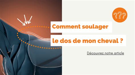Akhal Soigner Naturellement Les Chevaux Et Les Chiens