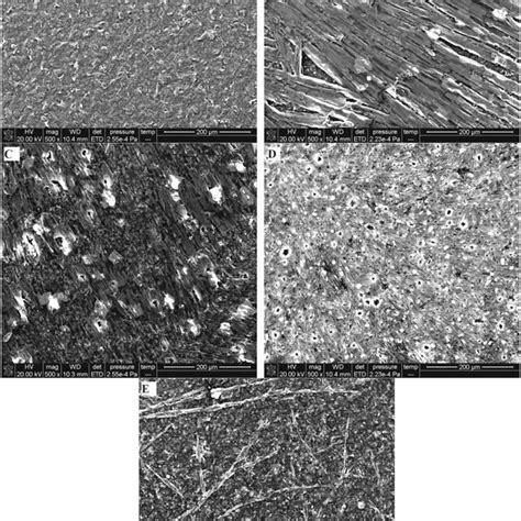 Sem Images Of Different Modified Spes A Naked Spe B Heme Spe