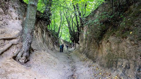 Wąwóz Korzeniowy Dół trasa parking mapa oraz historia Hasające Zające