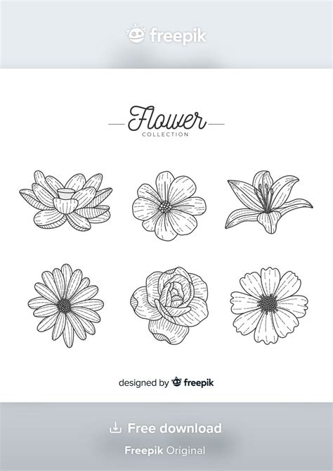 Pacote De Flores Desenhadas M O Vetor Premium Flores Desenhadas A