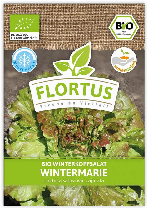 Samenliebe BIO Feldsalat Samen Alte Sorte Verte De Cambrai Nussiger