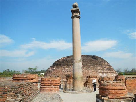 Ashoka Pillar Wallpapers Top Free Ashoka Pillar Backgrounds