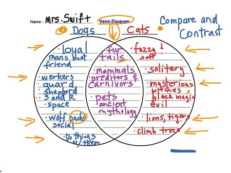 Venn Diagram Examples Compare And Contrast