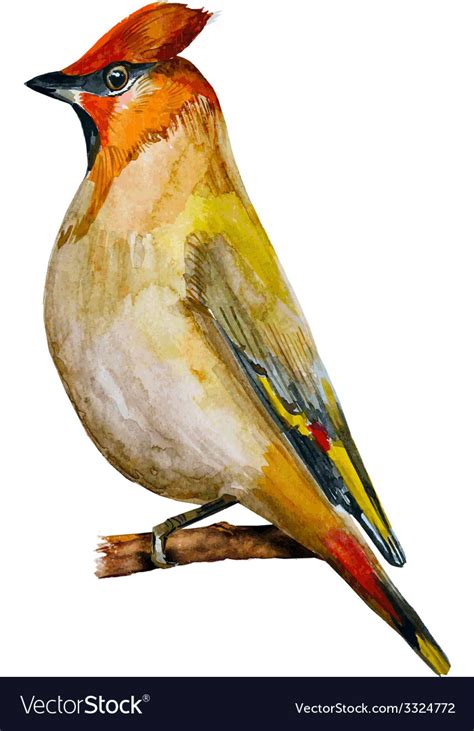 Home Living Wall Hangings Original Watercolour Bird Painting Swagger