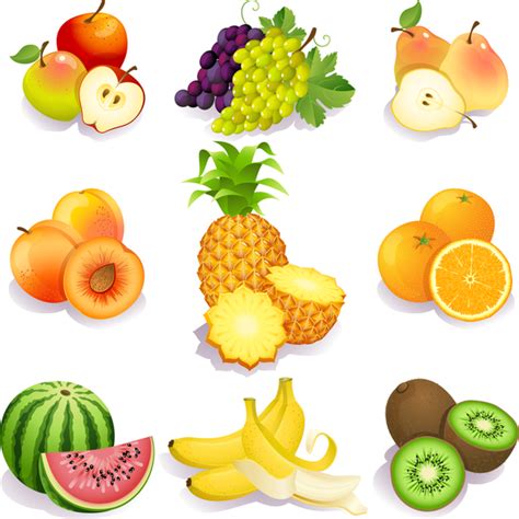 Frutas isoladas ilustração set Baixar Vector