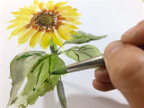 10 Steps To Painting A Loose Sunflower In Watercolour Iampoppy Designs
