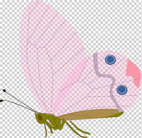 Dibujo Mariposa Hoja Mariposa Patas De Pincel Insectos Png Klipartz