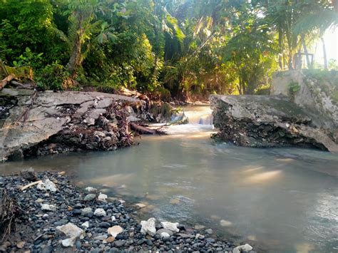 Akibat Bendungan Jebol Hektar Lahan Sawah Di Desa Sawarna Terancam