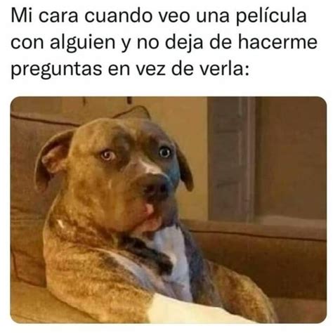 Mi cara cuando veo una película con alguien y no deja de hacerme