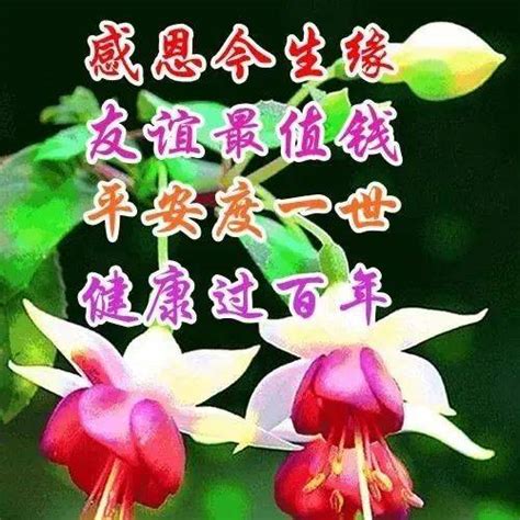 7月8日最新早上好祝福动态表情图片大全早上好问候语句子 于天复 时日里 应惜缘