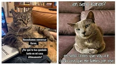 5 MEMES De Karen Y El Gato Graciosos Para Compartir En WhatsApp Petlife