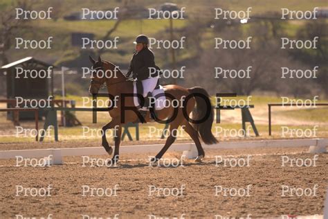 199 Miss Tique Ride On Photo