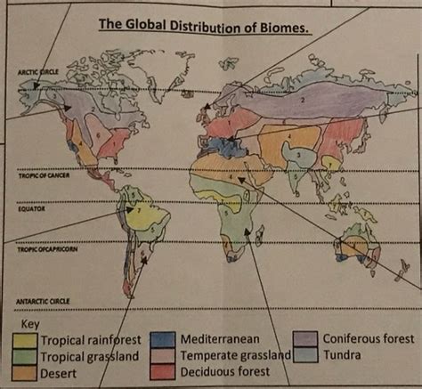 Biomes Flashcards Quizlet