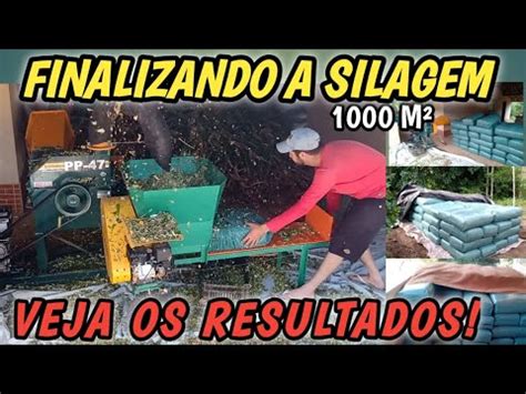 finalizando silagem ensacada de milho feroz veja o resultado máquinas