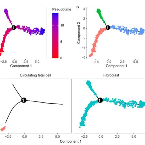 A Violin Plot Of Expression Of Characteristic Genes In Cell Clusters