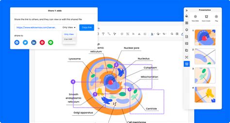 Free Cell Diagram Software With Free Templates Edrawmax The Best Porn