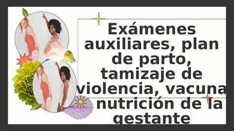 Res Menes De Plan De Parto Descarga Apuntes De Plan De Parto