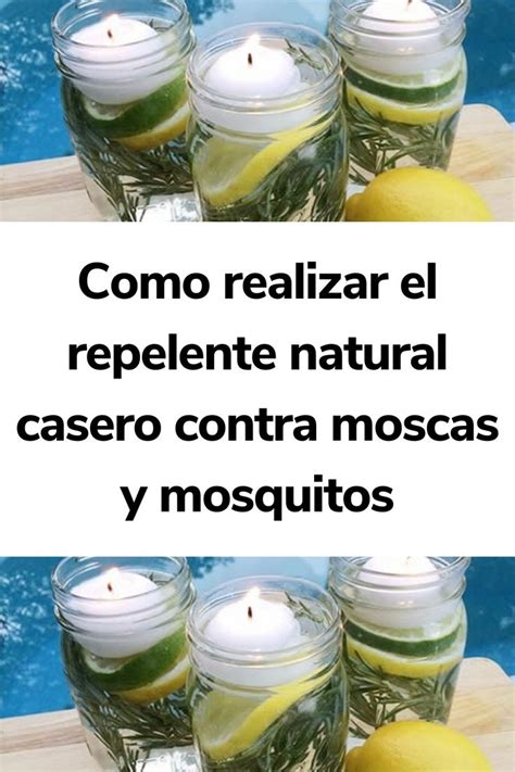 Como Realizar El Repelente Natural Casero Contra Moscas Y Mosquitos