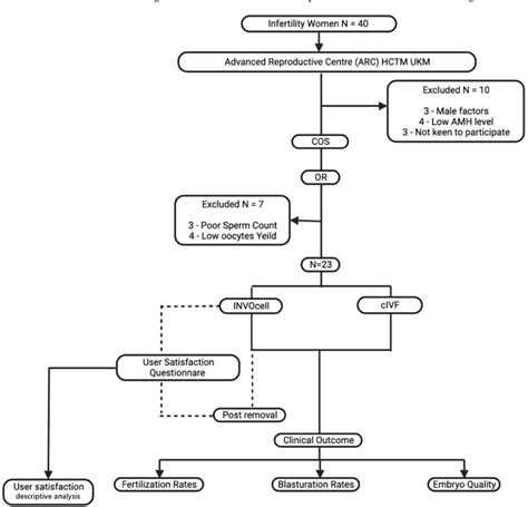 figure 1 from comparison of treatment outcomes among sibling oocytes using different culture