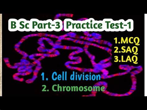 Chromosome Cell Division Polytene Chromosome BSc Part3 NEET CBSE Bihar