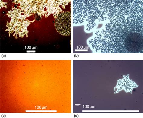 Polarized Optical Microscope Images Show Spherulite Formation In