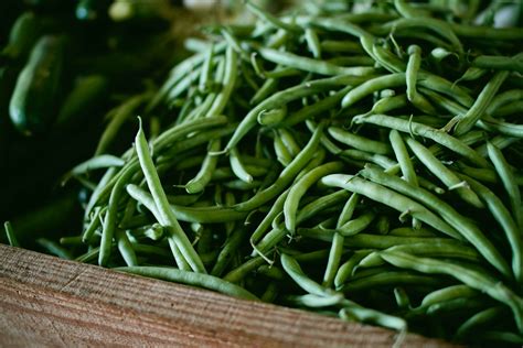 Quand Et Comment Semer Les Haricots Verts Imagine On Le Fait