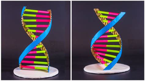 Science Projects Dna Structure Model Youtube