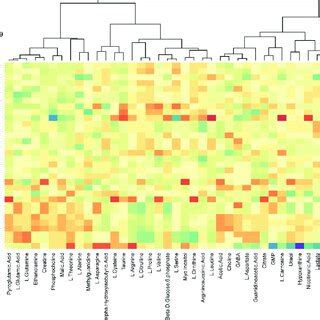 Two Dimensional Heatmap From Hierarchical Clustering Shows All The 45