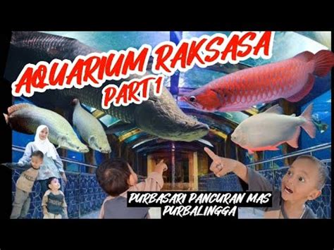 EXPLORE WISATA PURBASARI PANCURAN MAS PURBALINGGA AQUARIUM