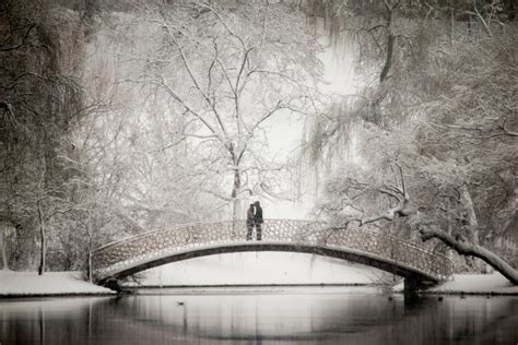 Fotos gratis árbol rama nieve invierno en blanco y negro Mañana