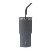 Wellness 20 Oz Double Wall Stainless Steel Tumbler With Straw Big 5