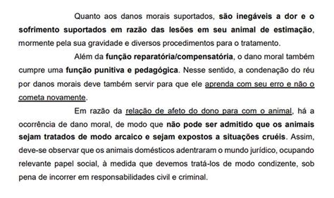 Justiça aceita cachorro como parte em processo por danos morais no