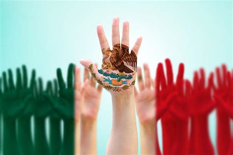 Democracia actual en México Brainly lat