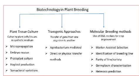 Biotechnology An Advanced Tool For Crop Improvement Semantic Scholar