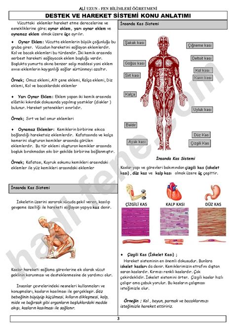 2 ÜNİTE VÜCUDUMUZDAKİ SİSTEMLER DESTEK VE HAREKET SİSTEMİ Hadi Fene