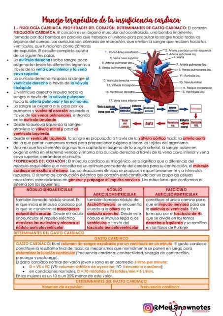 INSUFICIENCIA CARDIACA Cardiología Apuntes de medicina uDocz
