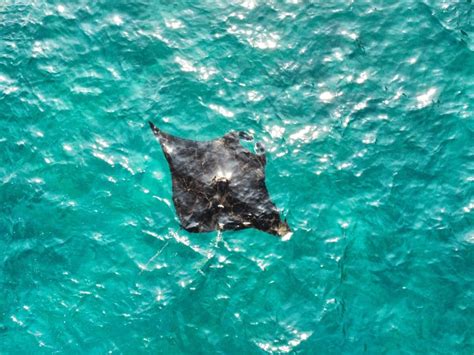 Best Of Nusa Penida Day Tour With Private Snorkeling Boat