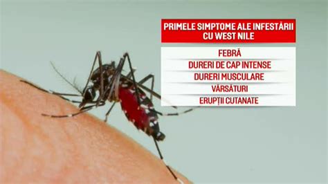Şapte cazuri au fost confirmate în România cu infecţia cu virusul West